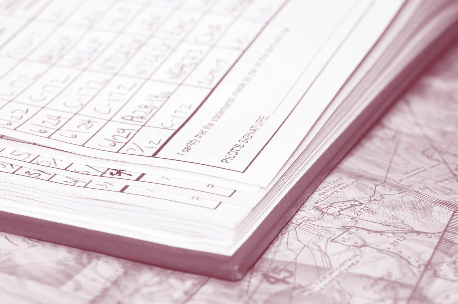How to Lose Your Pilot Certificate (And How Not To) - Plane + Pilot