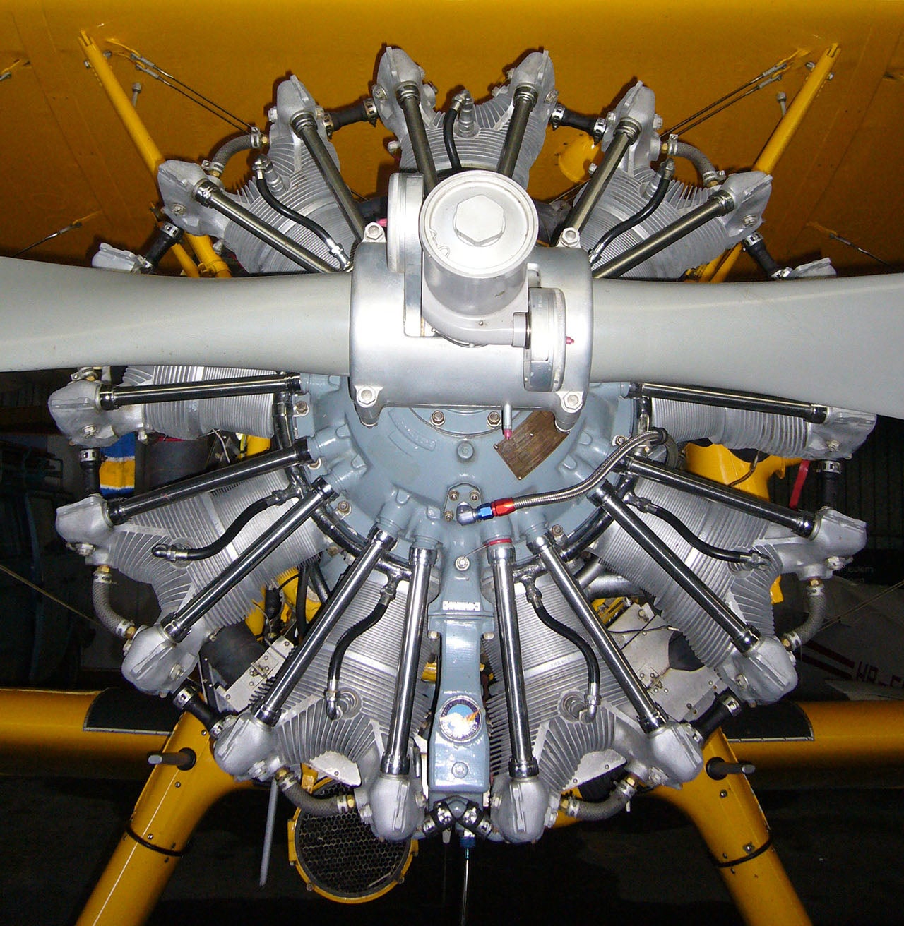 Pratt & Whitney Wasp Radial Engine - Plane + Pilot