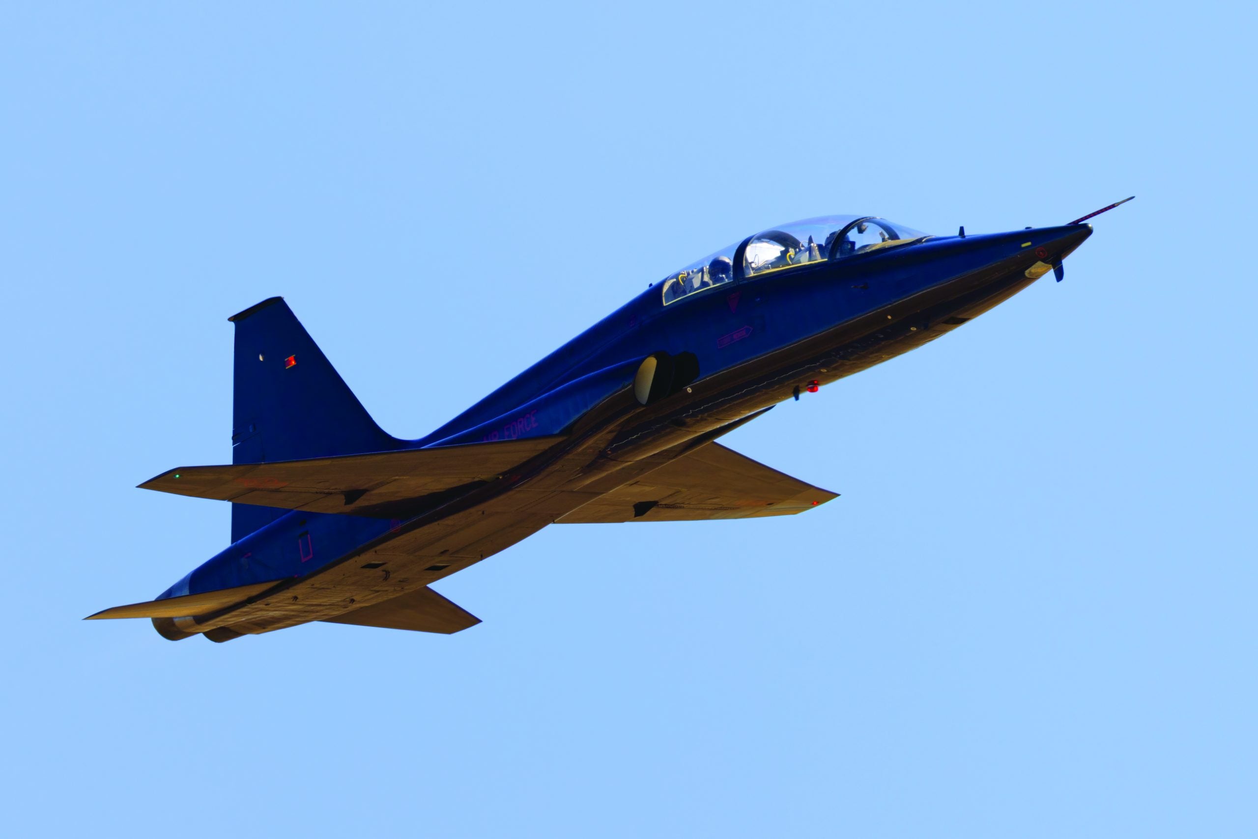 This Incredible Plane: T-38 Talon - Plane + Pilot