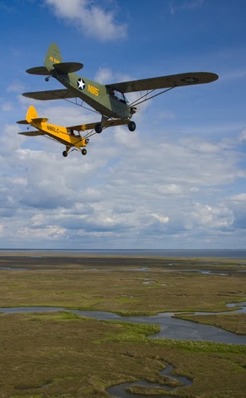 iCub, Meet Smart Cub - Plane & Pilot